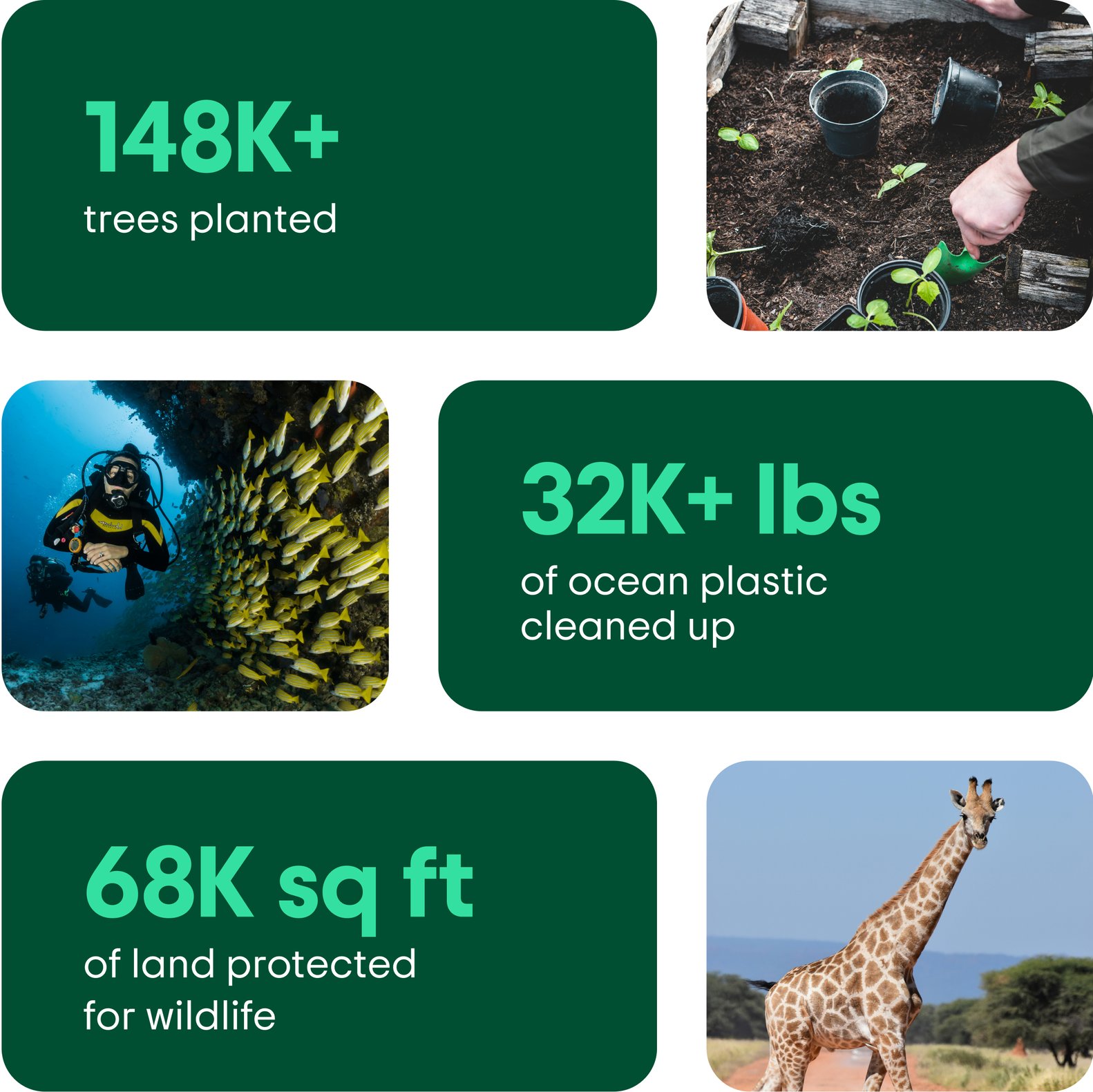 Sustainability in Tripadvisor's advertising business